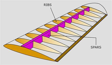 Parts of an Airplane Wing: A Deep Dive into Aeronautical Engineering ...