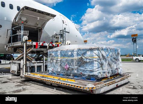 Airbus A350F: The Carbon-Fiber Freighter That Could Reshape the Cargo ...