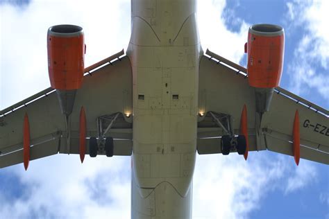 Parts of an Airplane Wing: A Deep Dive into Aeronautical Engineering ...