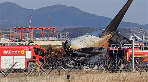 Jeju Air Interim Report: Pilots Shut Down Wrong Engine After Bird ...