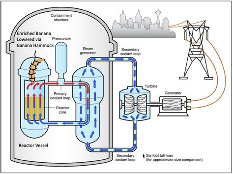 The Complex Invention of Nuclear Power: A Global Scientific Journey ...