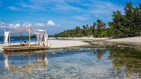 When Is the Cheapest Time to Go to Florida? - Bolt Flight
