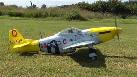 Best Flying RC Plane: A Comprehensive Guide to Top Models and Choosing ...