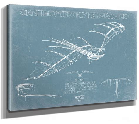 The Evolution and Aerodynamics of Ornithopters: From Myth to Mechanized ...