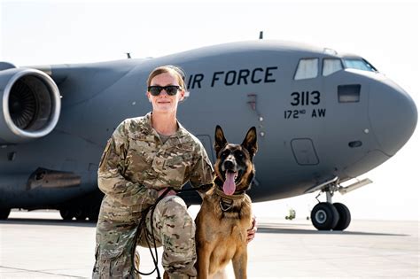 K9F Para-Fox: The Parachute Harness Revolutionizing Airborne Missions ...