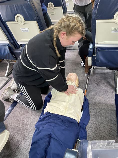Flight Attendant vs Stewardess: What's the Difference? - Bolt Flight