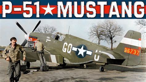 Unforgettable P-51 Mustang Rides: A Historic Aviation Experience - Bolt ...