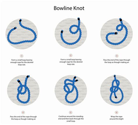 Which Knot Do You Use to Tie Down Your GA Plane: The Definitive Guide ...