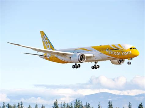 Scoot Flights and Reviews: A Deep Dive into Asia’s Budget Carrier ...