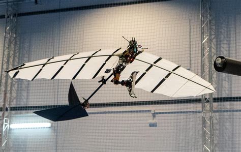 The Evolution and Aerodynamics of Ornithopters: From Myth to Mechanized ...