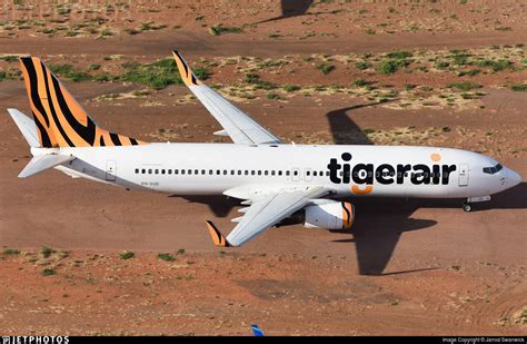 Tigerair Australia: A Comprehensive History of the Roar and Silence in ...