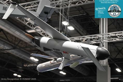 Ukraine’s STING Drone Downs Iran’s Shahed-107: First Confirmed Kill of ...